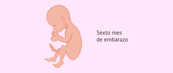 Embarazo mes a mes: desarrollo del feto y cambios en la madre