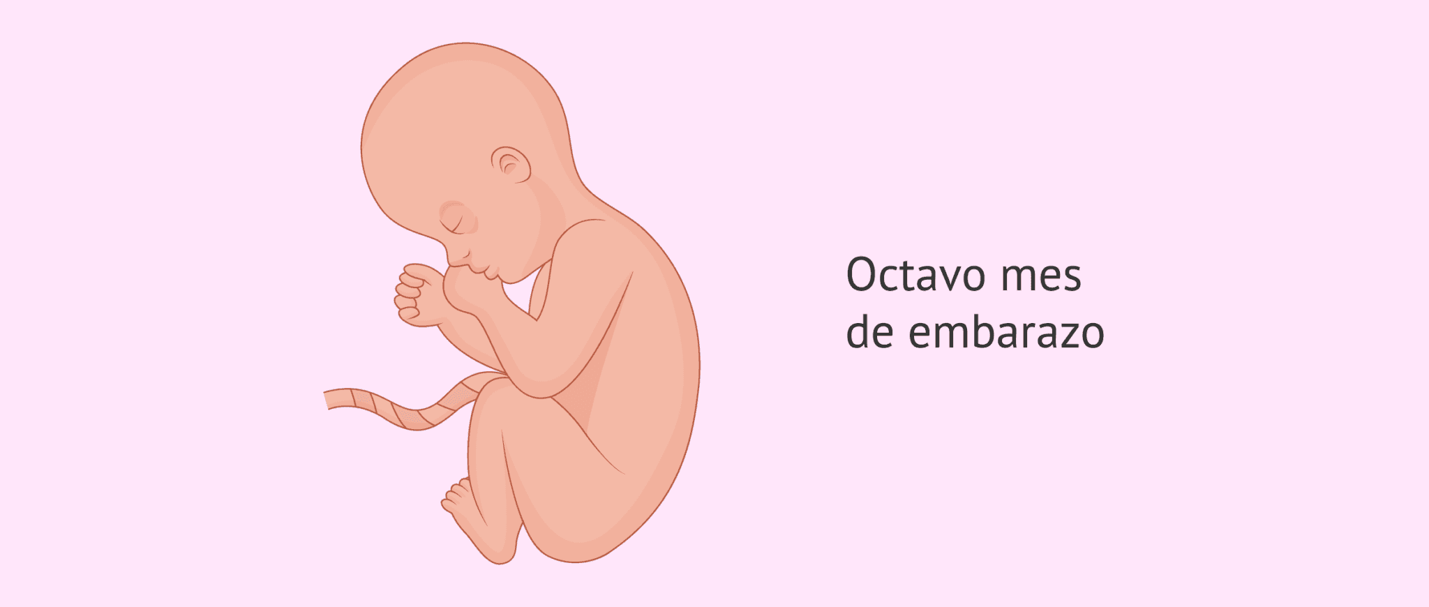 Embarazo mes a mes: desarrollo del feto y cambios en la madre