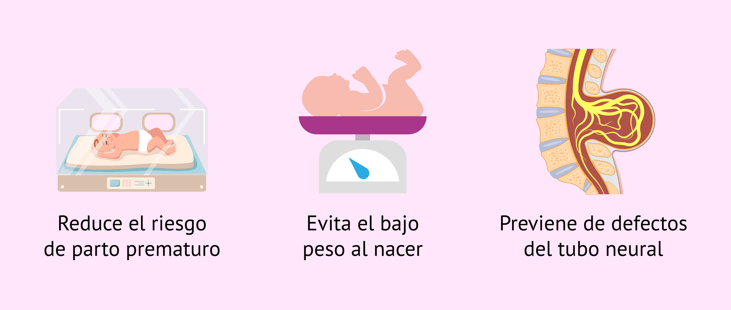 Importancia del ácido fólico durante el embarazo
