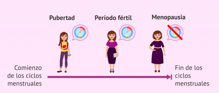 ¿Qué significa 'ser fértil' y qué factores influyen en la fertilidad?