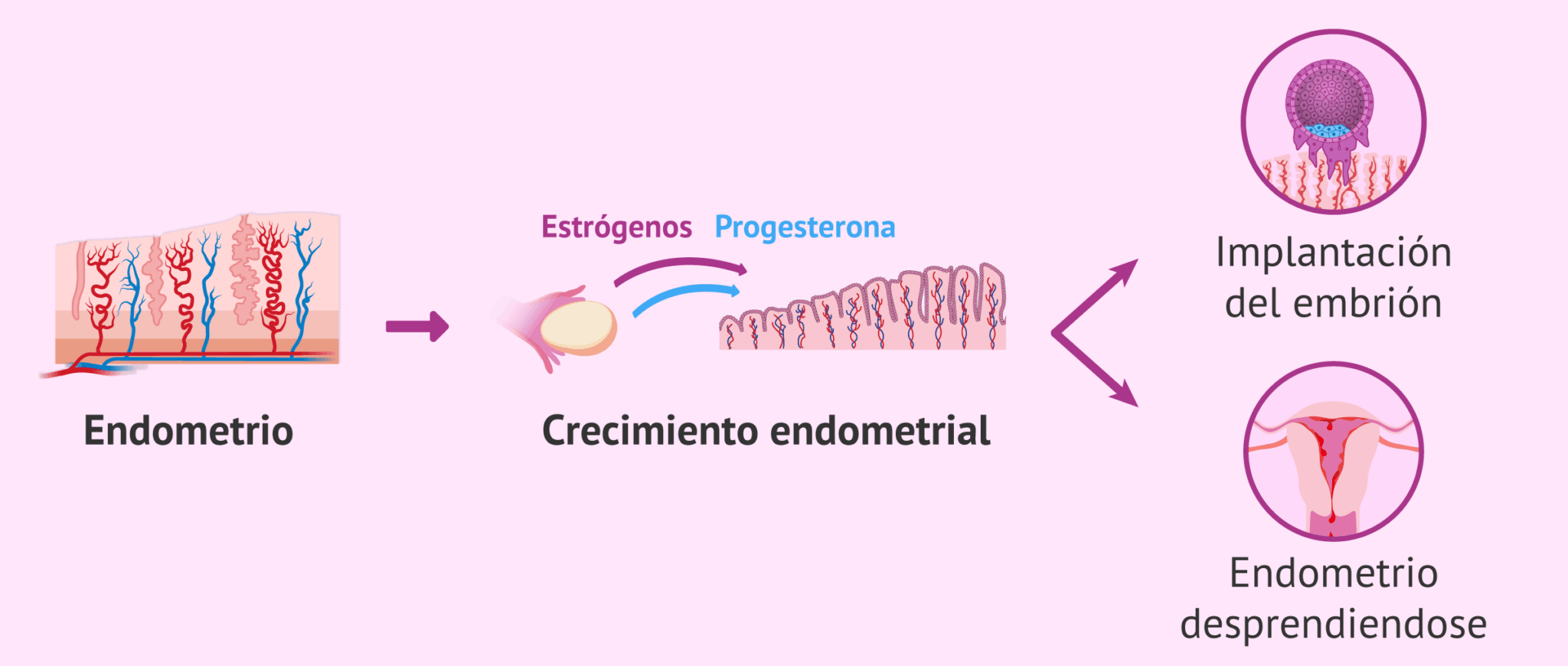¿Es posible el embarazo tras una IA si el cérvix estaba algo cerrado?