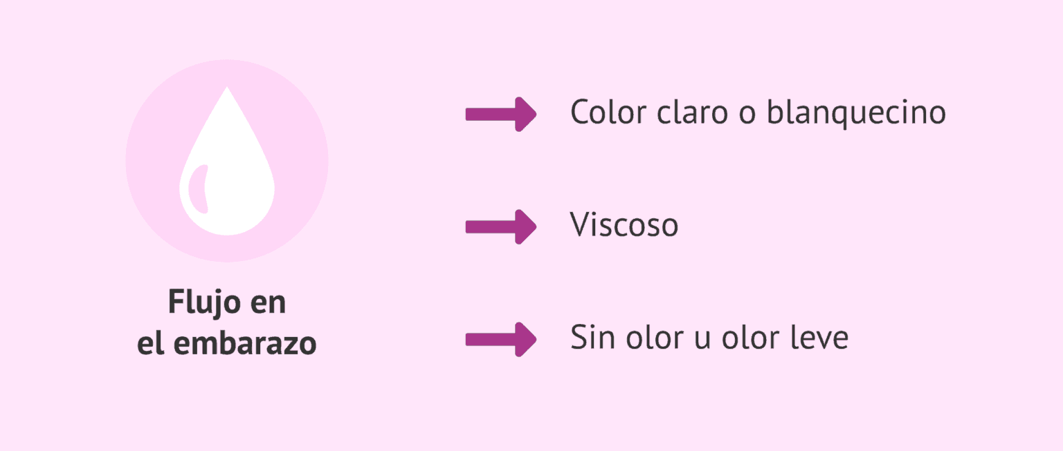 ¿Es normal el aumento del flujo vaginal en el embarazo? ¿A qué se debe?