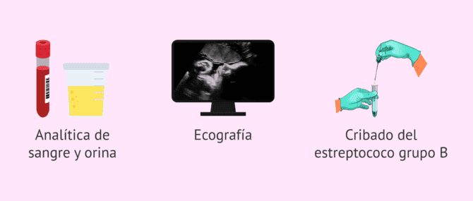 Semana 36 de embarazo: cambios en el bebé y síntomas en la madre