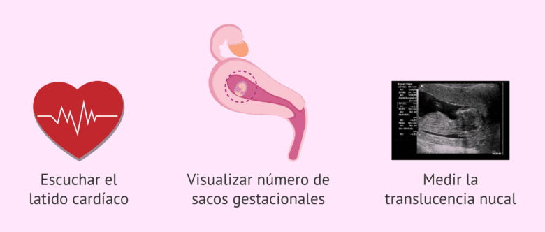 Tercer mes de embarazo: desarrollo del feto y síntomas en la mujer