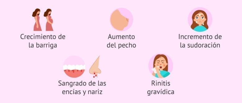 Cambios en la madre con 14 semanas de embarazo