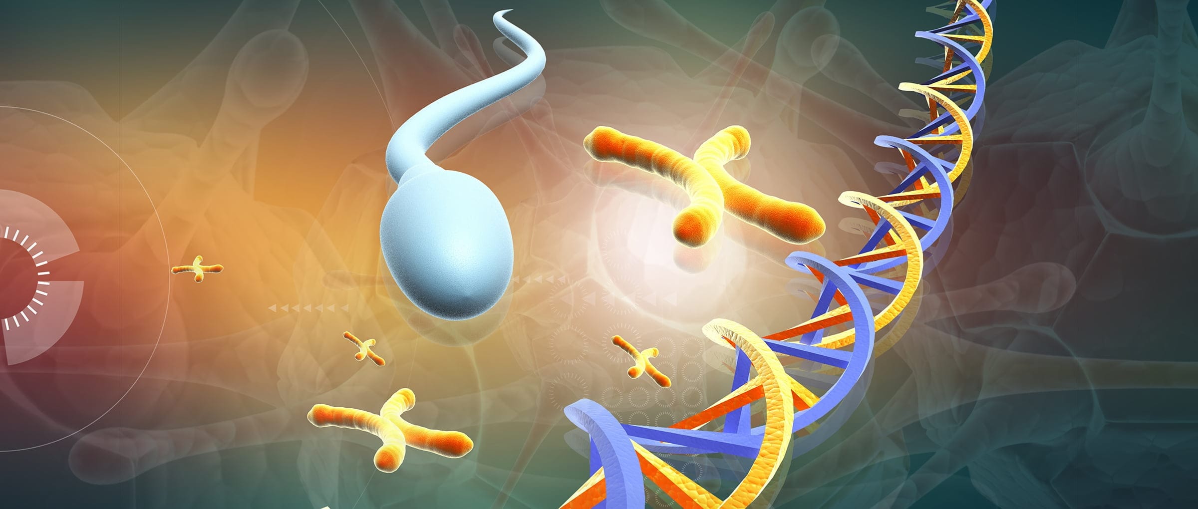 Estudio genético del espermatozoide