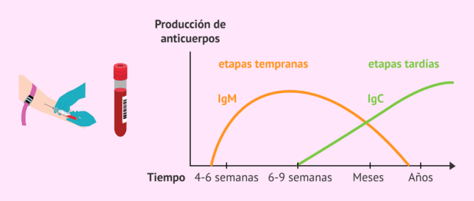 ¿Qué es el estudio serológico?