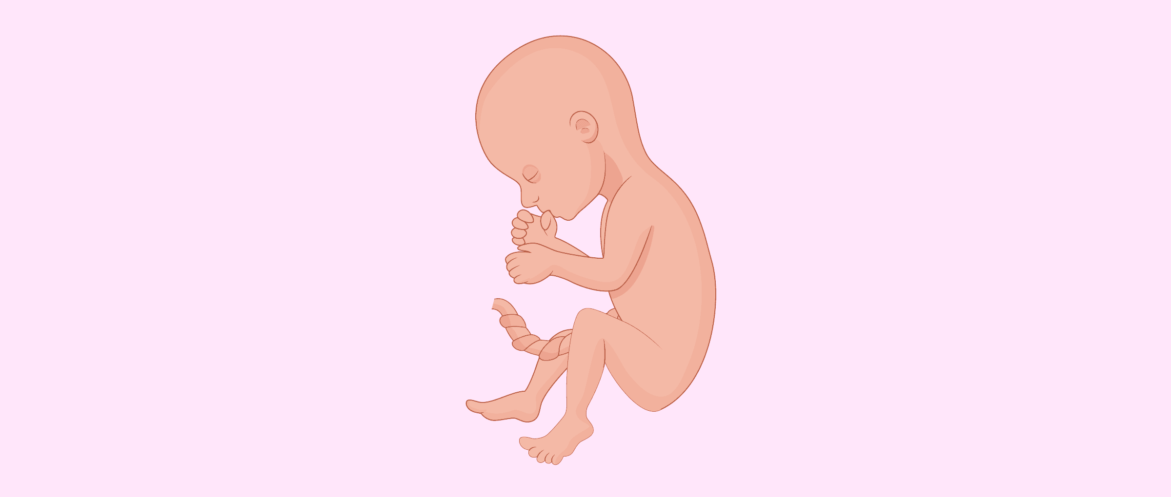 6 meses de embarazo: características y síntomas