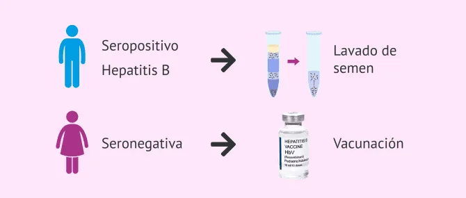 Se Puede Contraer Hepatitis Por Tocar Algo