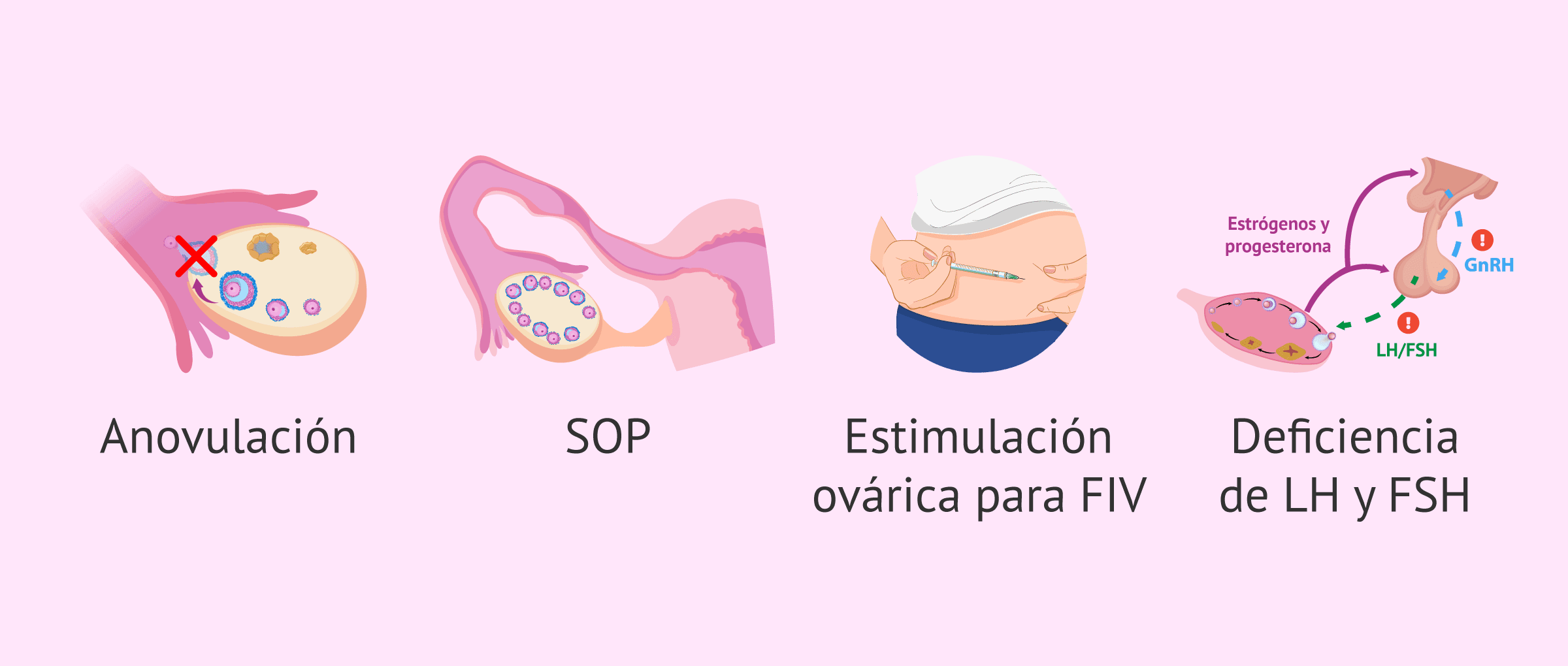 Ovaleap: administración, precio y efectos secundarios