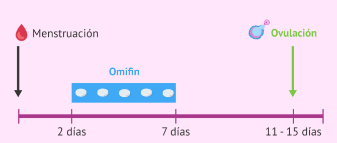 Qué Es La Inducción De La Ovulación