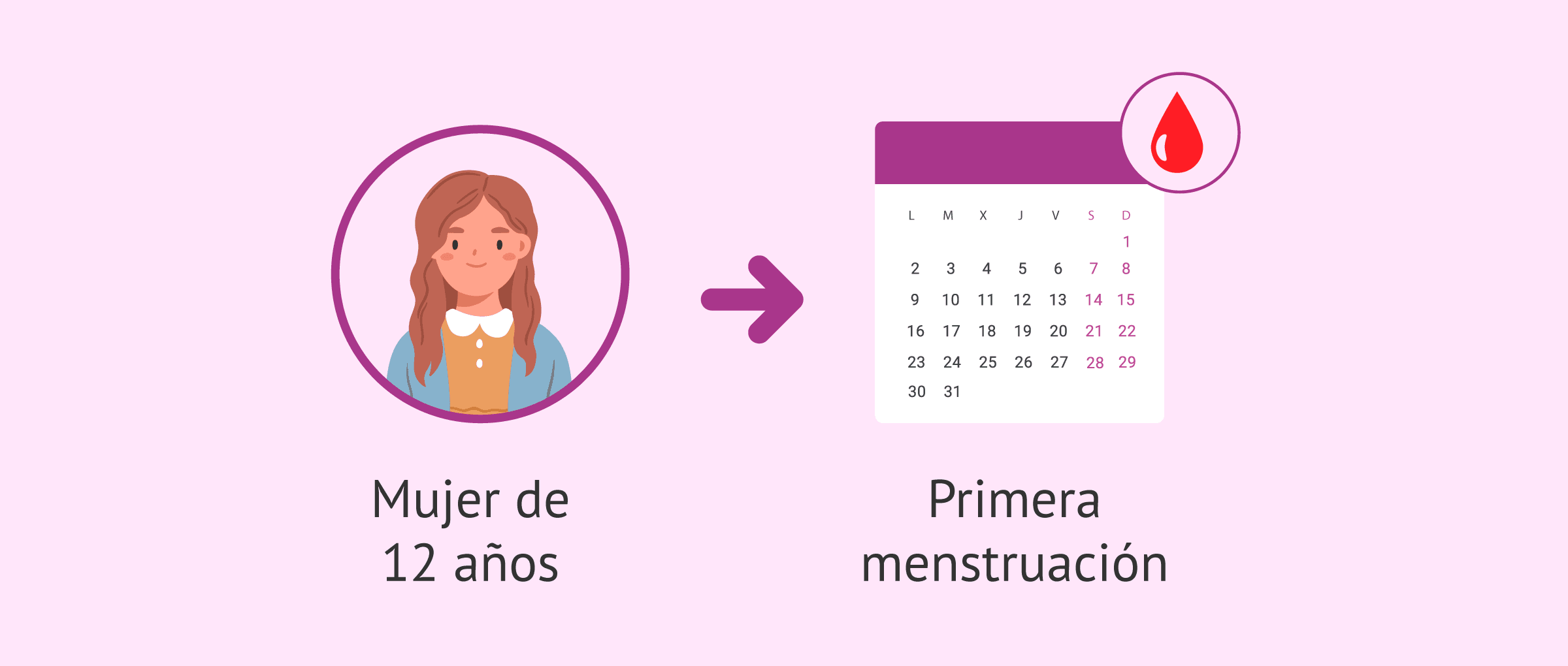 ¿Qué es la menarquia?