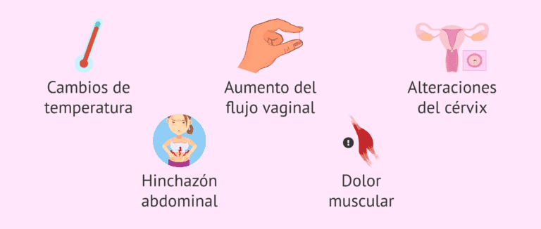 ¿Qué es la ovulación múltiple y cuáles son sus causas?