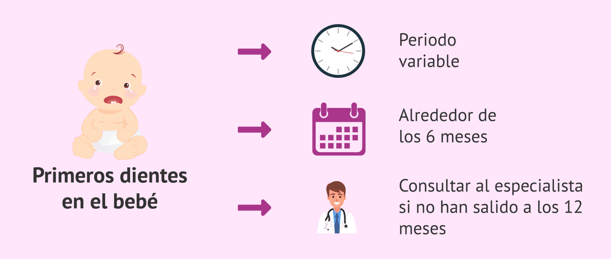 Los primeros dientes del bebé: ¿cuándo salen y qué síntomas produce?