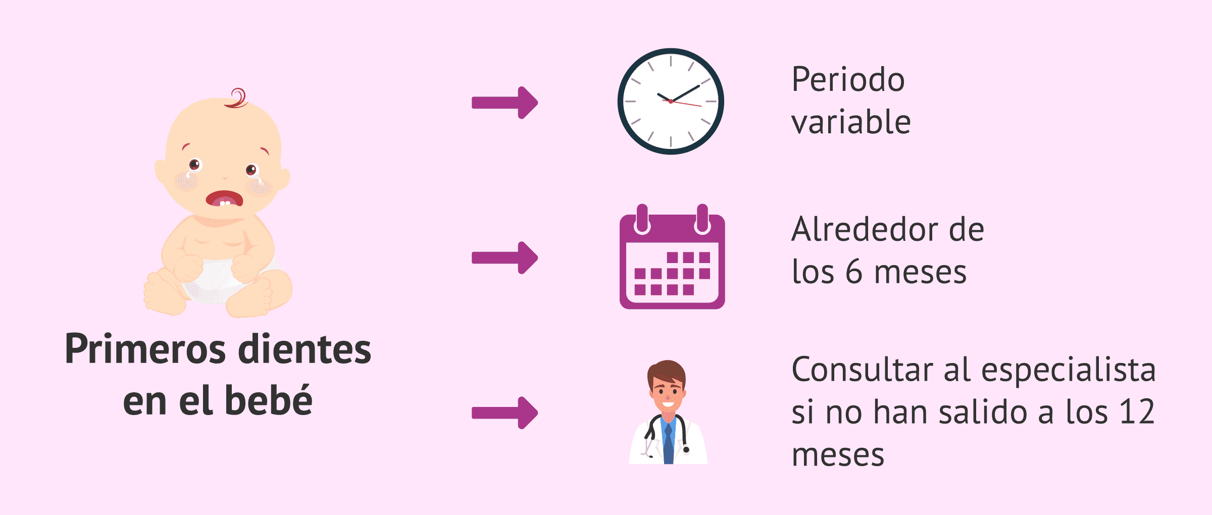 Los primeros dientes del bebé: ¿cuándo salen y qué síntomas produce?