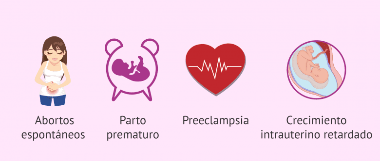 Enfermedades Autoinmunes Cómo Afectan A La Fertilidad Y Al Embarazo