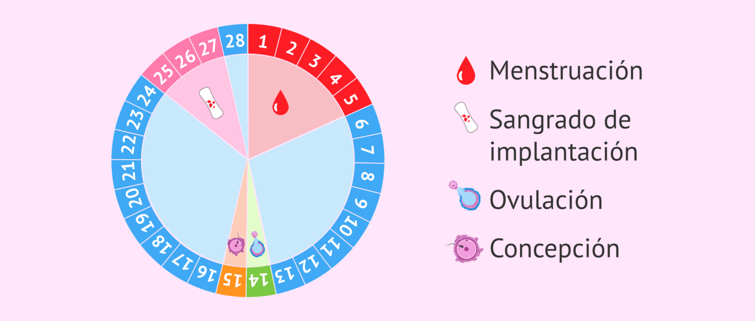 ¿Qué es el sangrado intermenstrual y por qué puede estar producido?