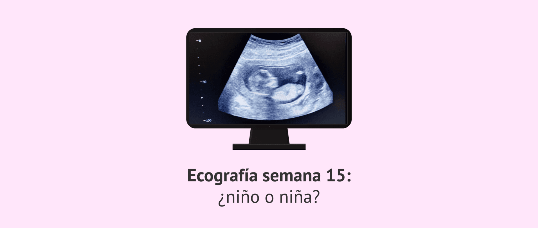 Semana 15 de embarazo: ¿niño o niña?