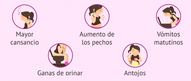 Semana 5 de embarazo: desarrollo del bebé y síntomas en la madre