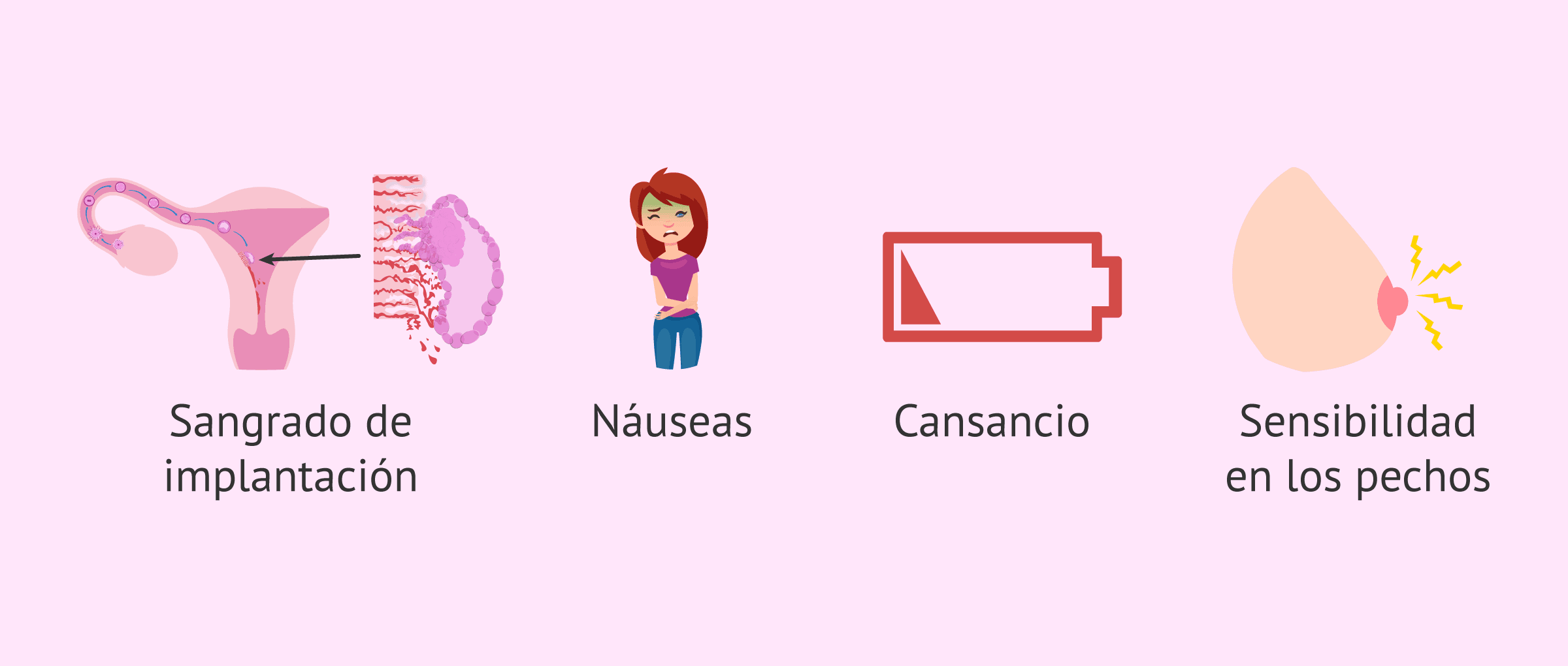 ¿Qué es la implantación del embrión y cuándo se produce?