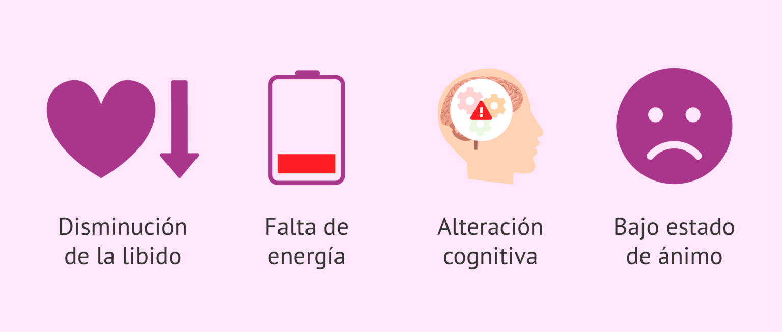 ¿Cuál es el papel de la testosterona en la mujer?