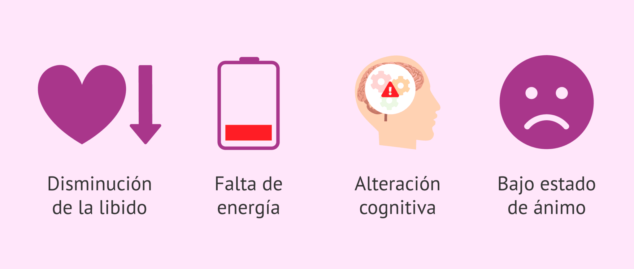 ¿Cuál es el papel de la testosterona en la mujer?