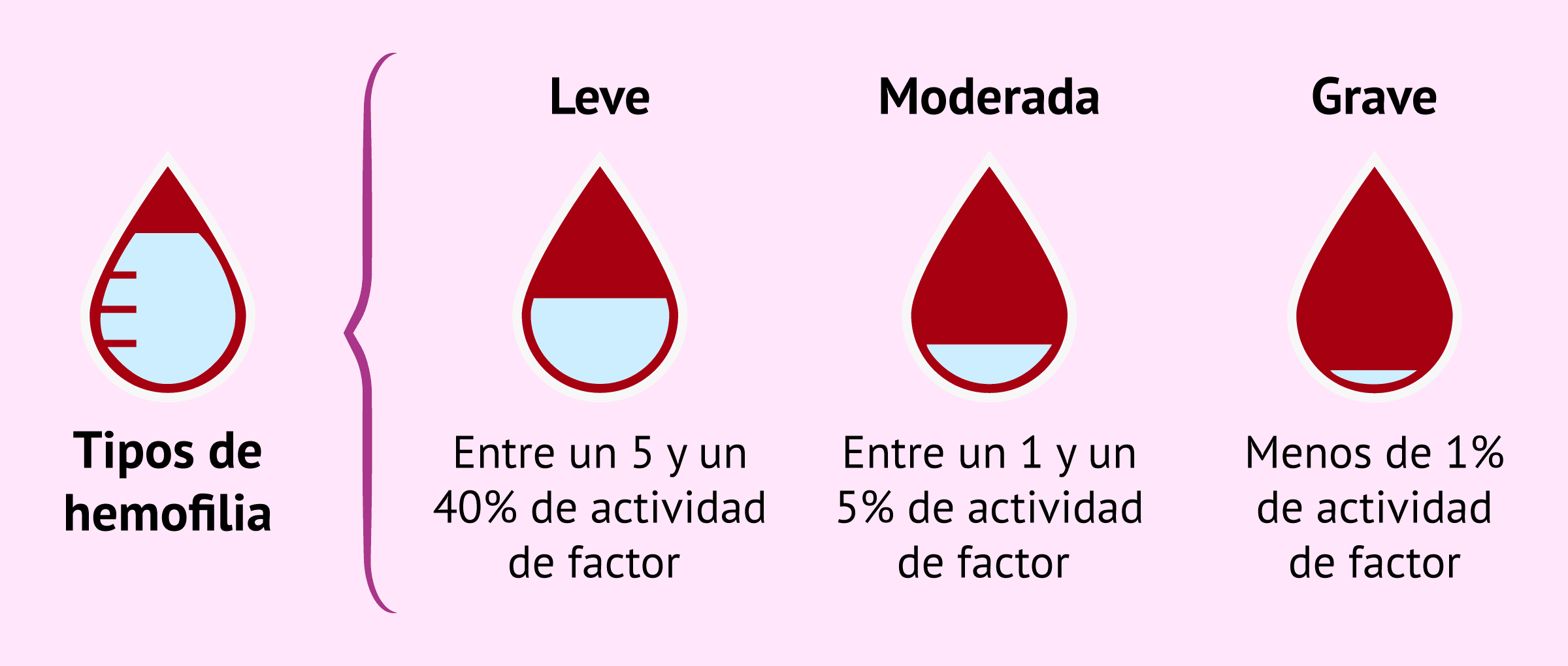 Cariotipo De Hemofilia