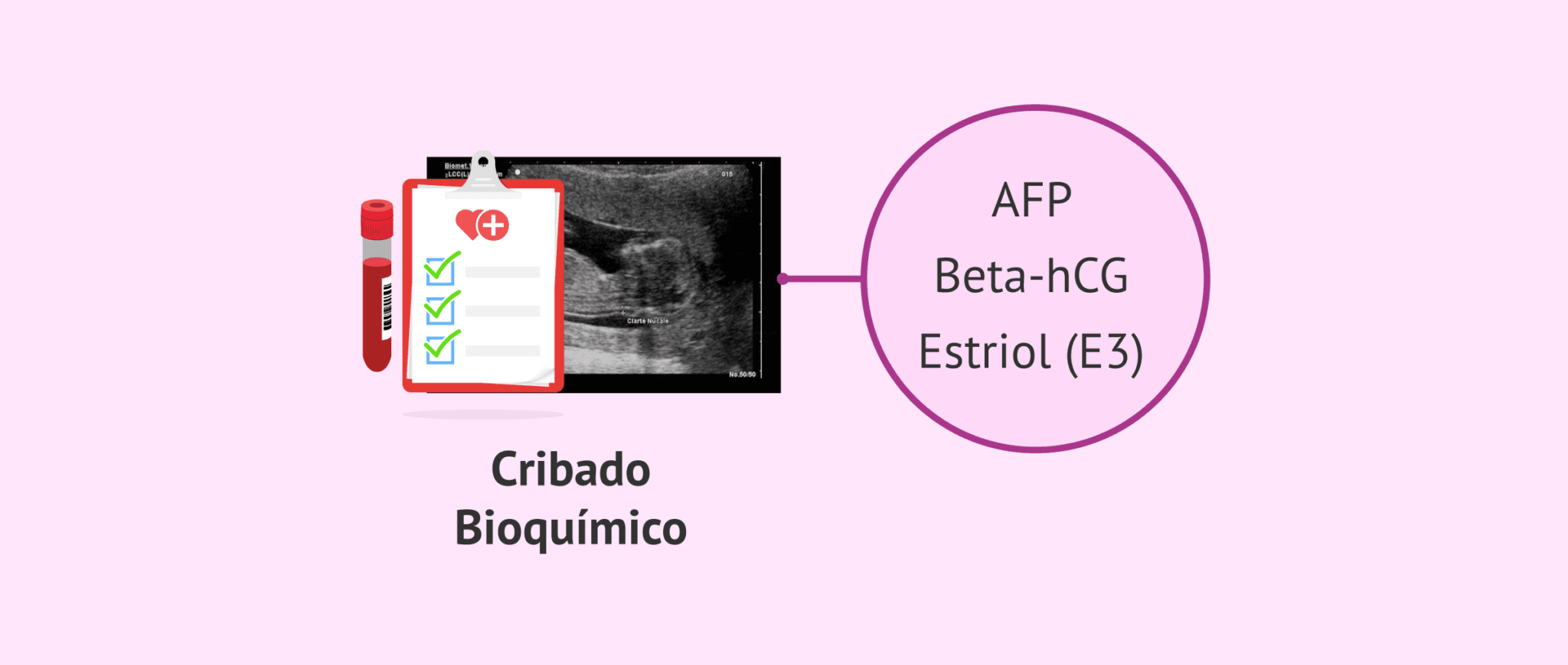 Cribado bioquímico segundo trimestre embarazo