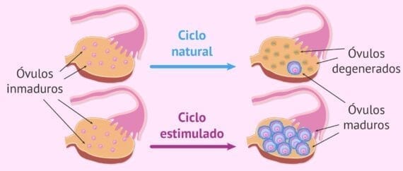 ¿Qué es Omifin? - Indicaciones, ventajas y efectos secundarios