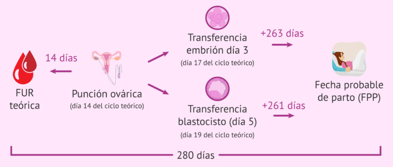 ¿Cuáles son los métodos para calcular la fecha del parto?