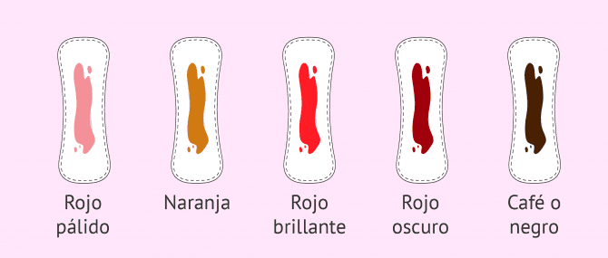 Sangre menstrual: qué indica el color de tu regla🍎 Entre na aventura do ...
