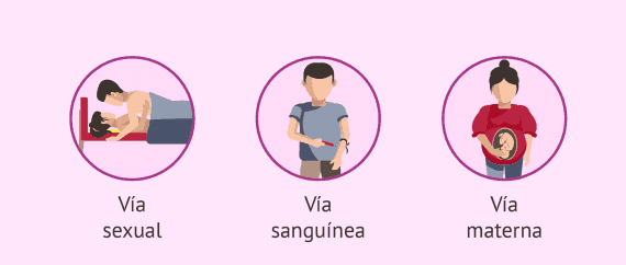 ¿Por dónde se transmite el VIH? ¿Es lo mismo el VIH y el SIDA?