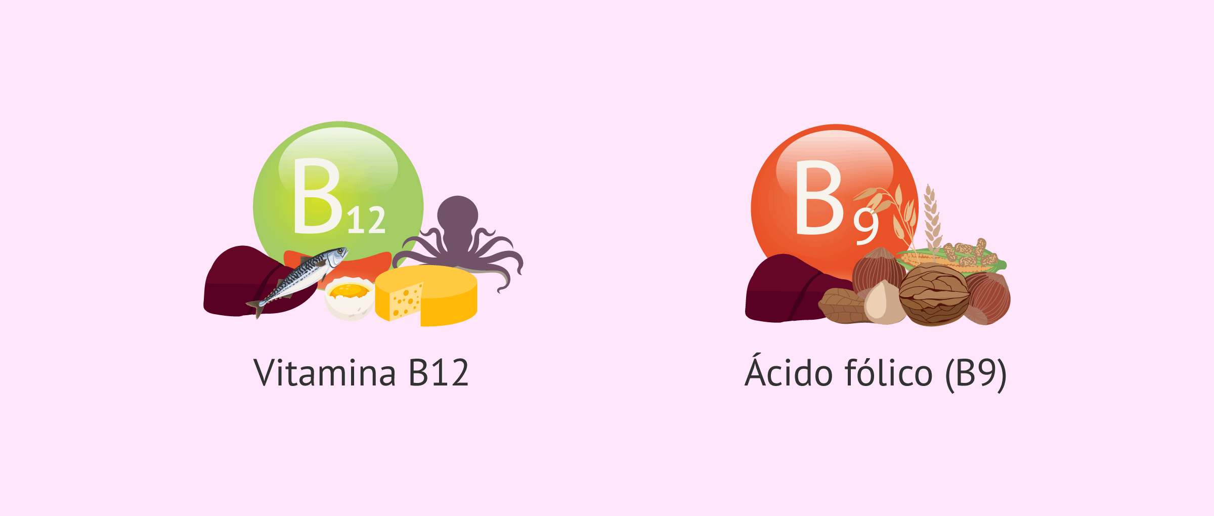 Frutas Y Verduras Ricas En Vitamina B12 Tabla De Alimentos Con