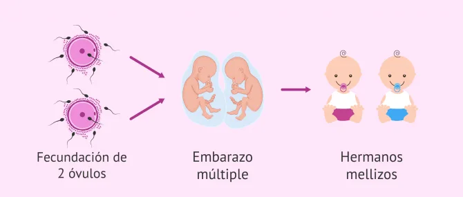 Diagrama De Embarazo De Trillizos Tres Desconocidos Idénticos": La