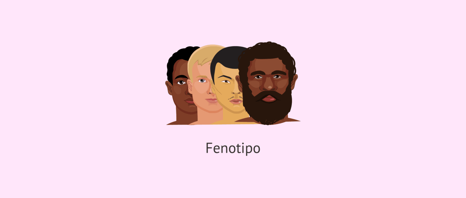 Fenotipo o características físicas