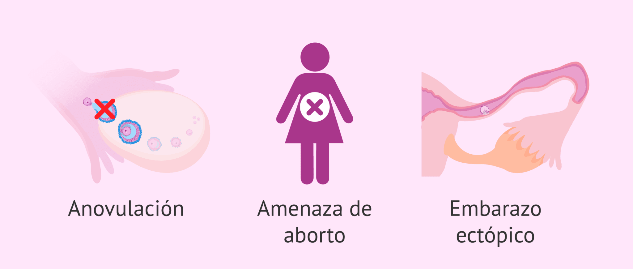 Hormona progesterona: funciones, valores normales y fármacos