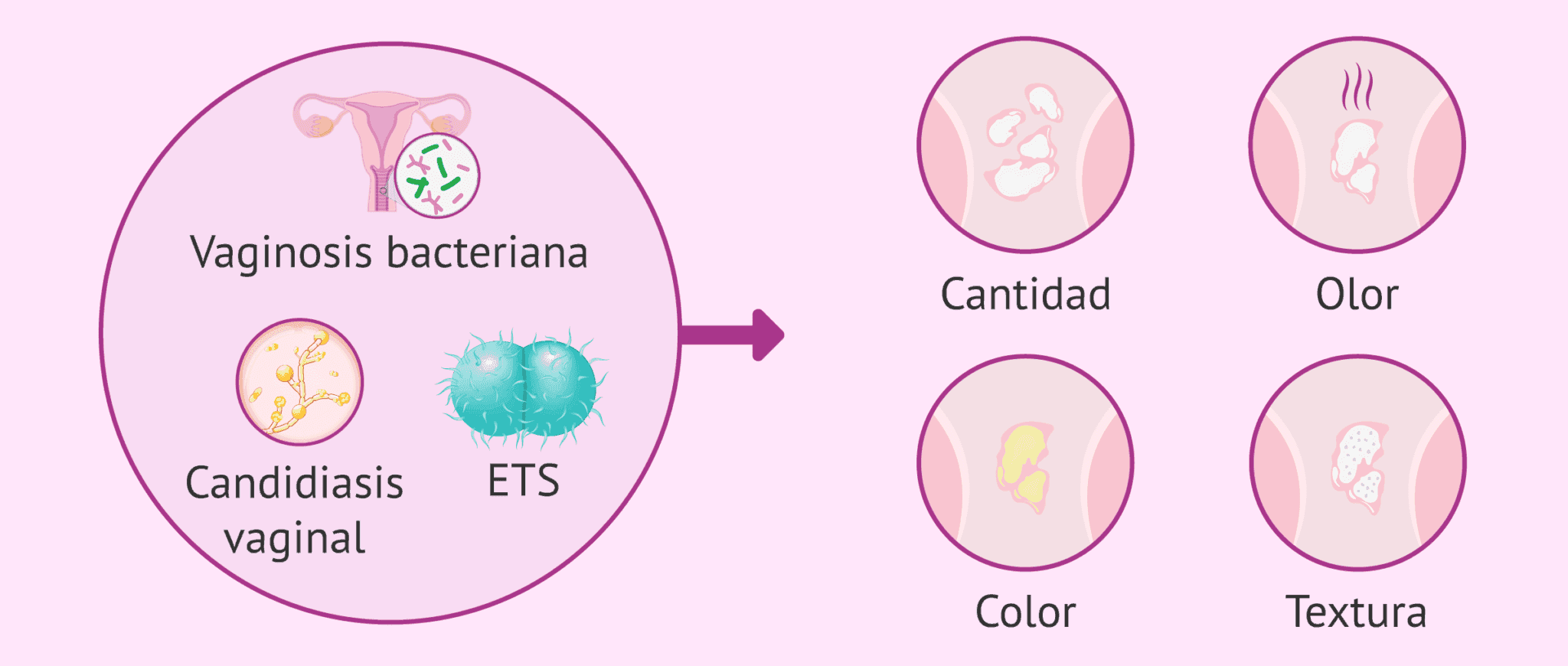 ¿Es normal tener flujo vaginal? ¿Para qué sirve y cuándo es anormal?