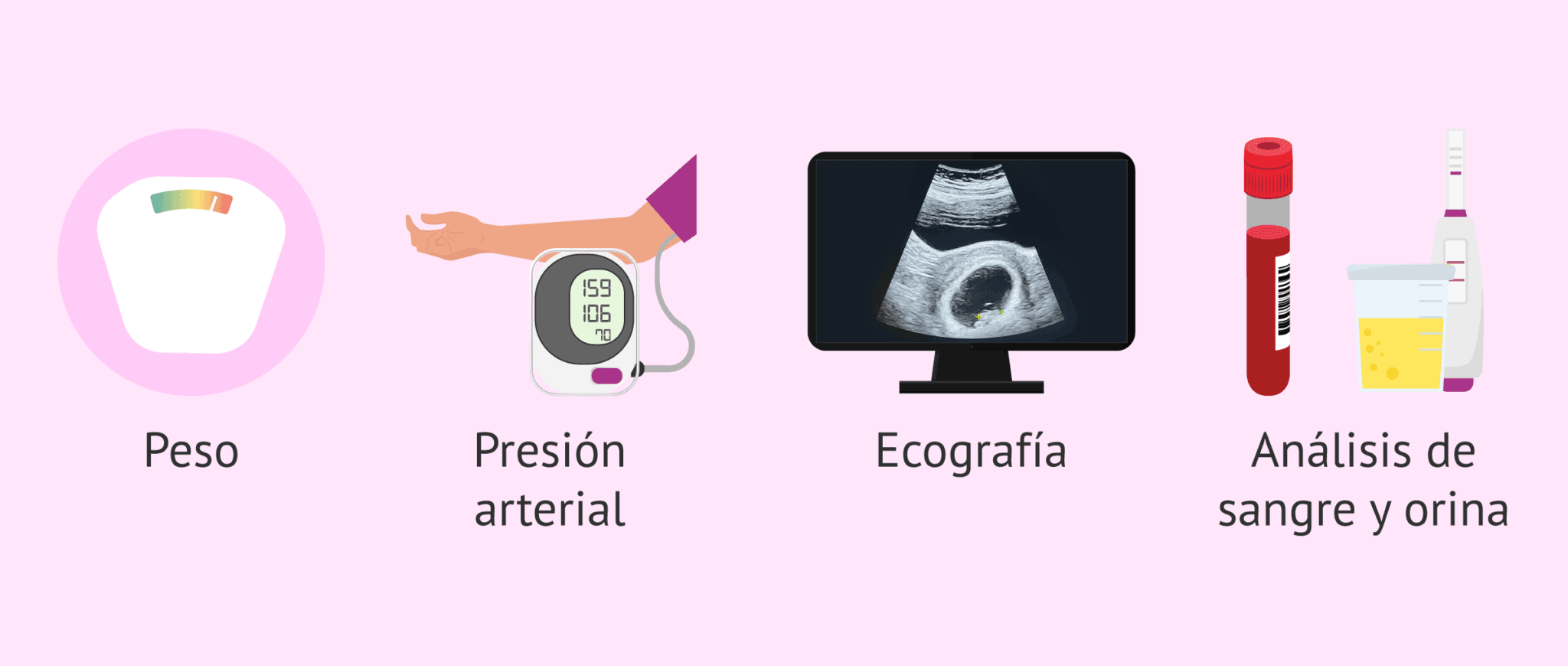 Semana 8 de embarazo: desarrollo del bebé y cambios en la mamá