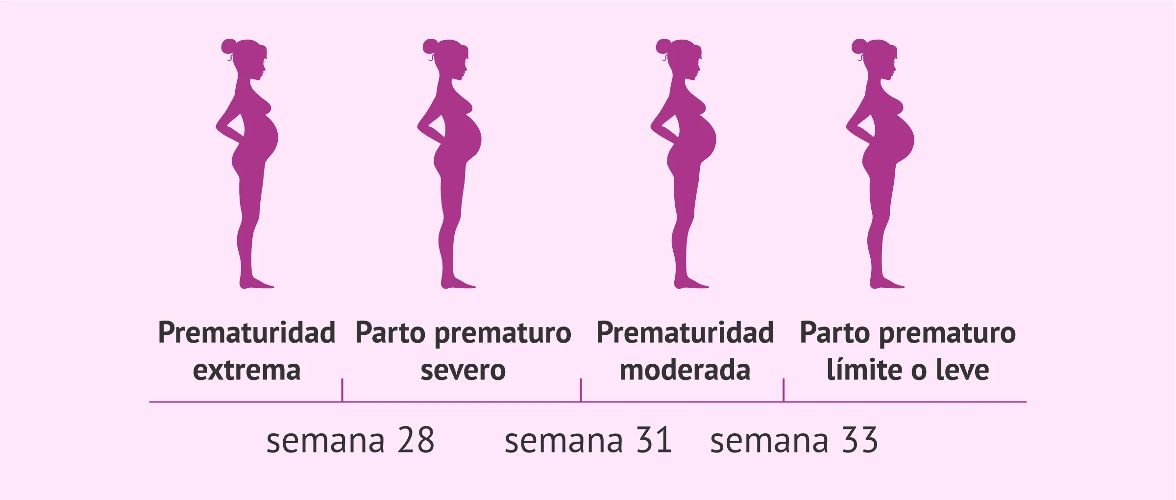 32 Semanas De Embarazo En El útero