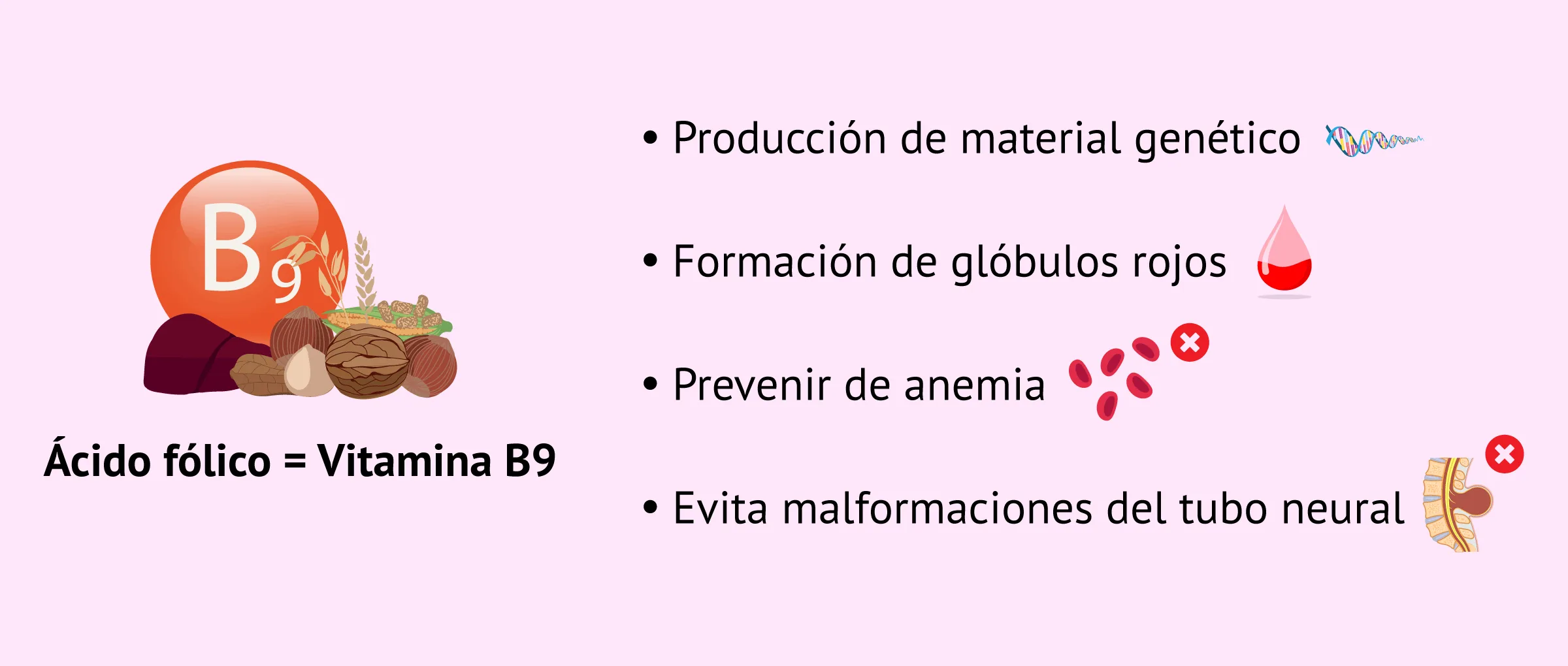 Deficiencia De Acido Folico Falta De Ingesta De Ácido Fólico Aumenta