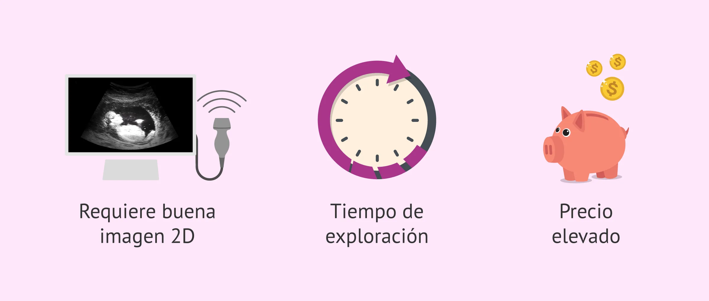 Prado Del Embarazo Del Ultrasonido 3d Semana 9. ¿Qué Pruebas Tienes