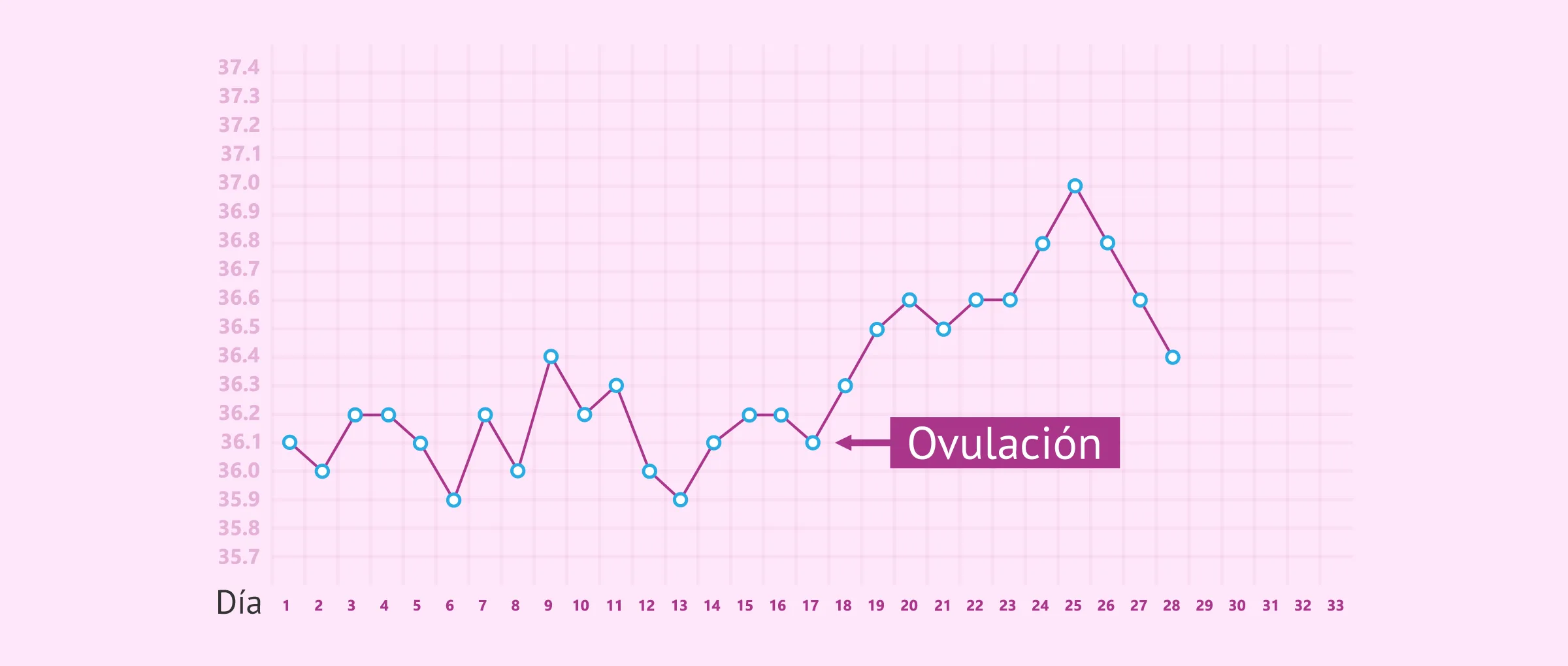 Diagrama De Temperatura Corporal Normal Sistema De Termorregulación