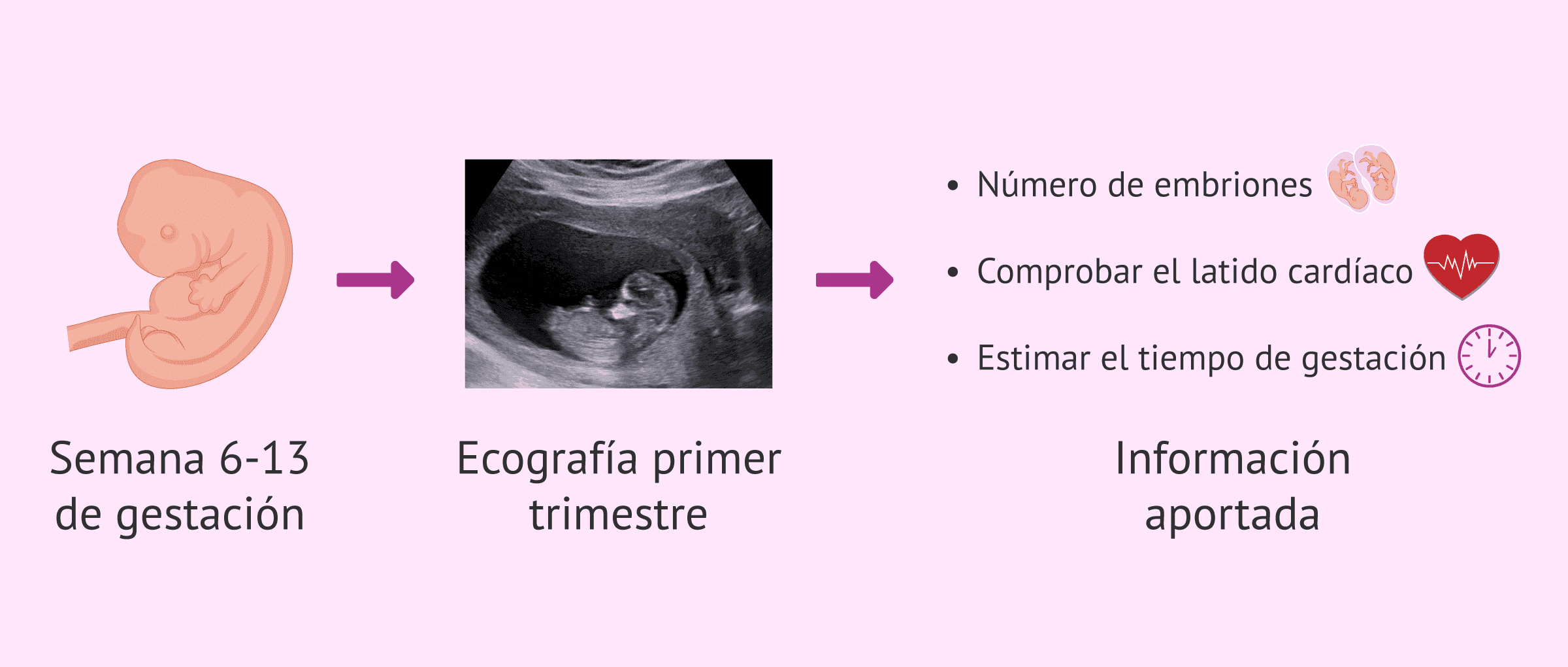 ¿Cuándo se hace la ecografía 4D en el embarazo y qué ventajas ofrece?