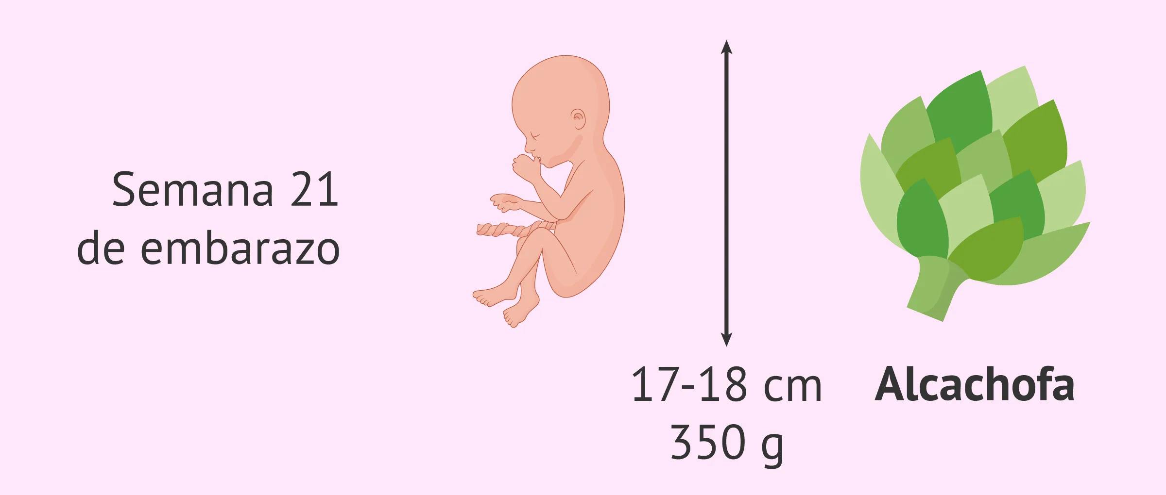 21 Semanas De Embarazo Barriga Primer Bebe