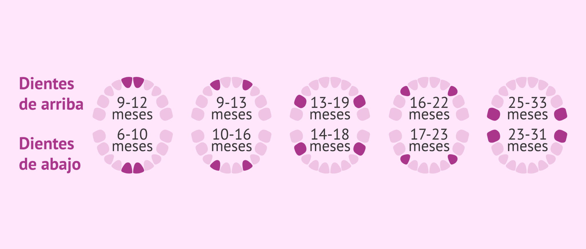 Los primeros dientes del bebé: ¿cuándo salen y qué síntomas produce?