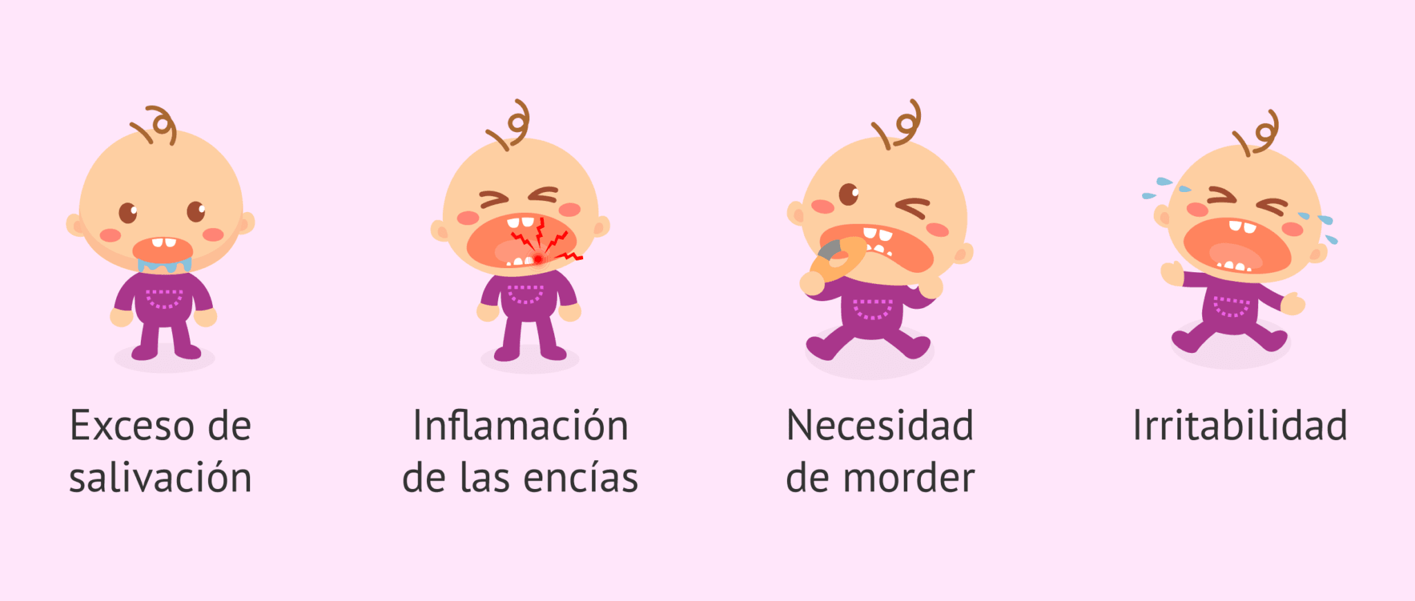 Los primeros dientes del bebé: ¿cuándo salen y qué síntomas produce?