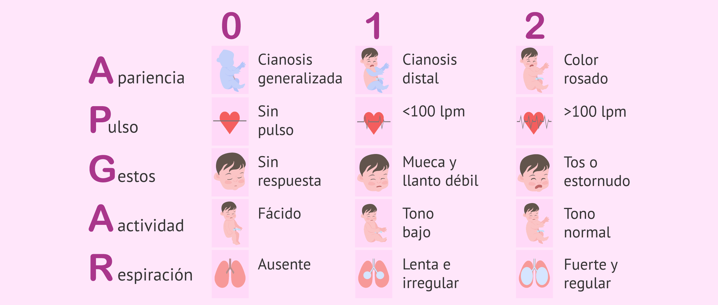 ¿Qué es el test de Apgar y para qué sirve? Puntuación de Apgar normal
