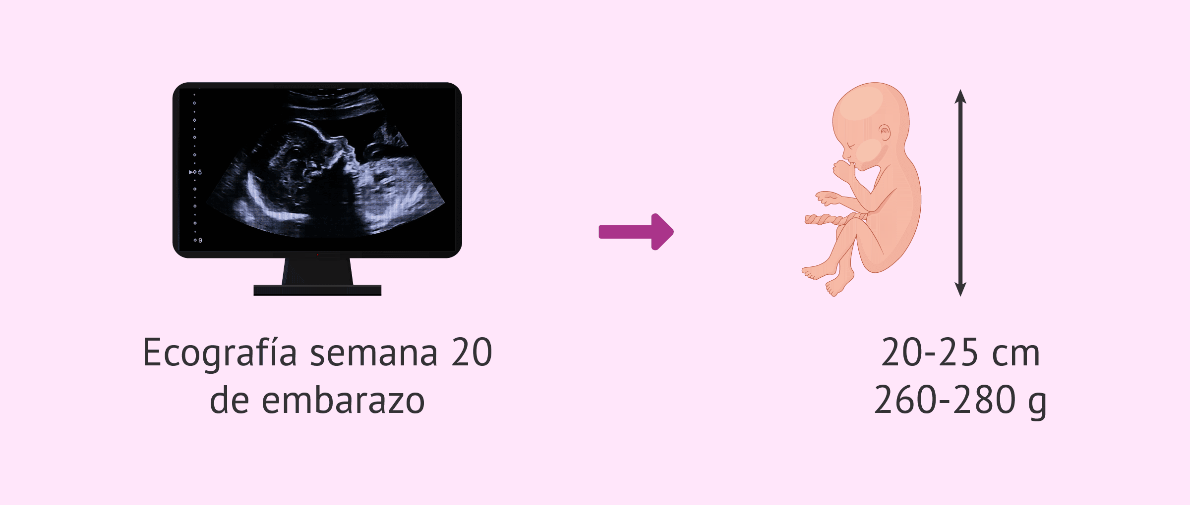 Cinco meses de embarazo: síntomas y cambios en el bebé y la madre