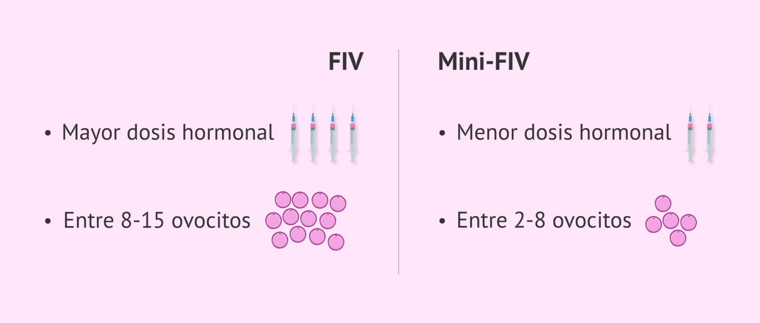 Comparación entre la FIV y la mini-FIV