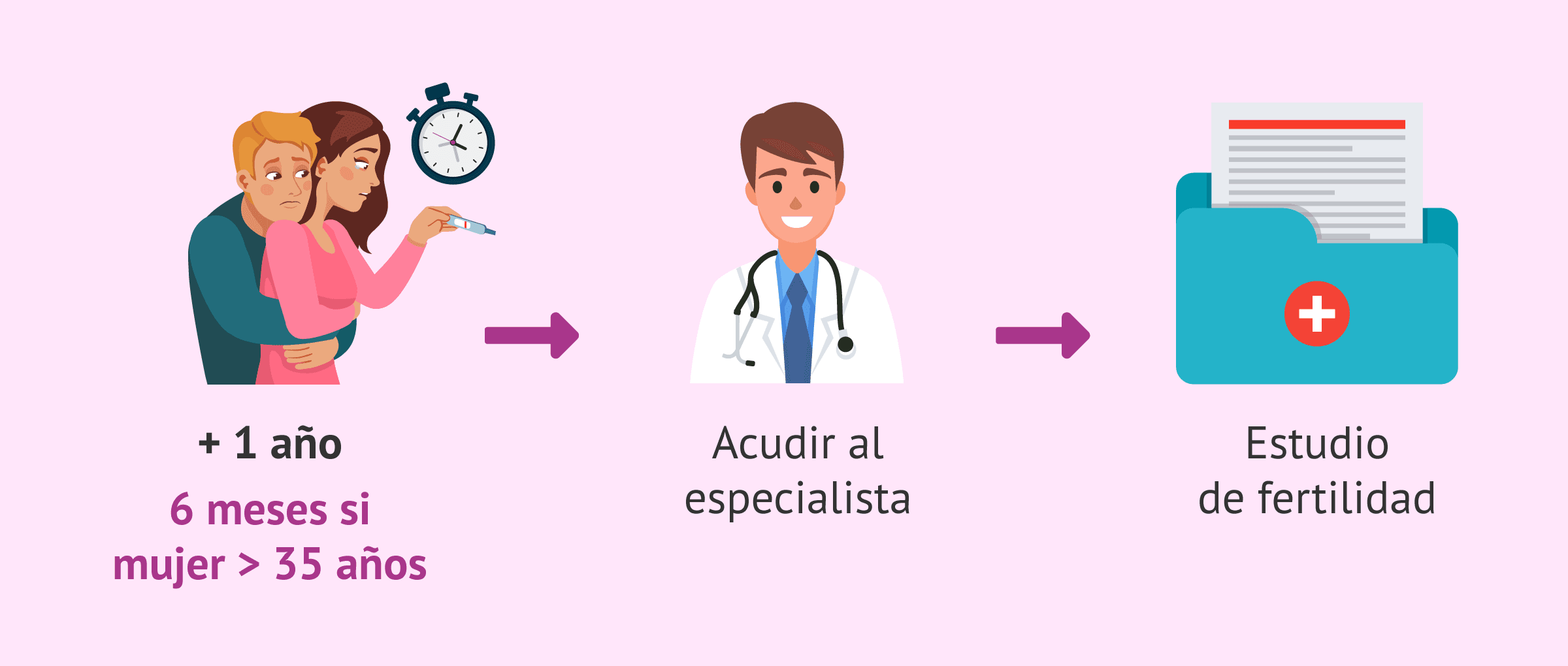 ¿Qué significa 'ser fértil' y qué factores influyen en la fertilidad?